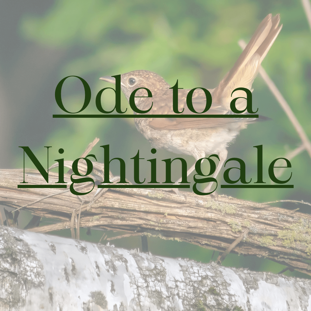 Poems by John Keats: Check John Keats Poems - Poems For All Things